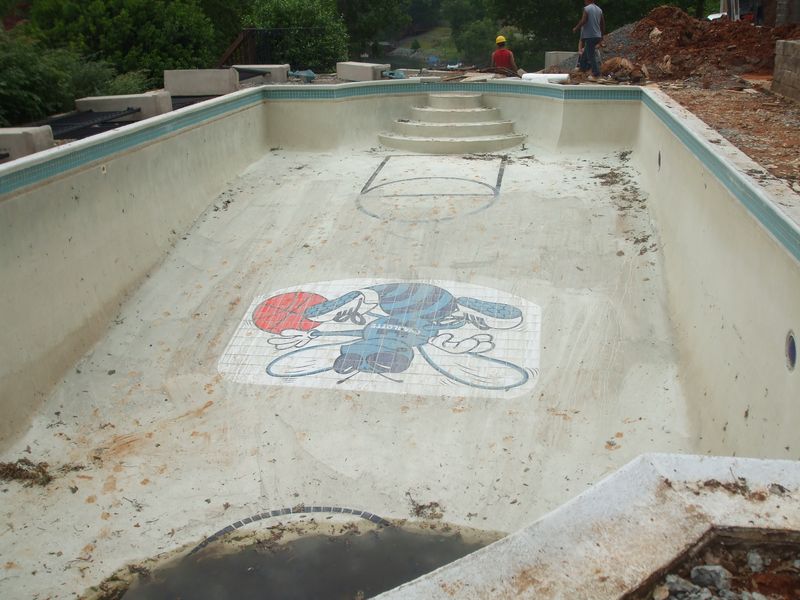 Did You Know: The Hornets Pool | Bring Back the Buzz